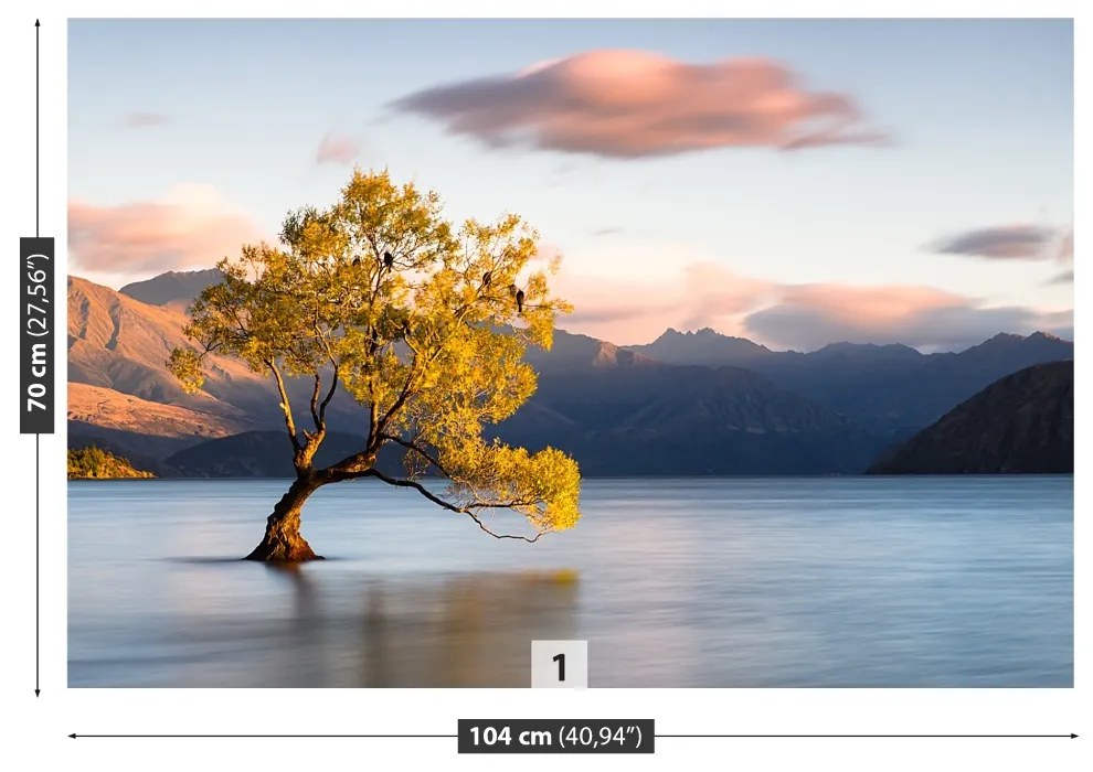 Fototapeta Stromové jezero 104x70