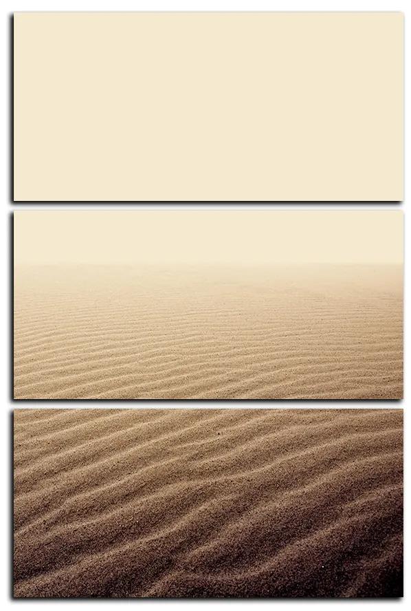 Obraz na plátně - Písek v poušti - obdélník 7127B (90x60 cm  )