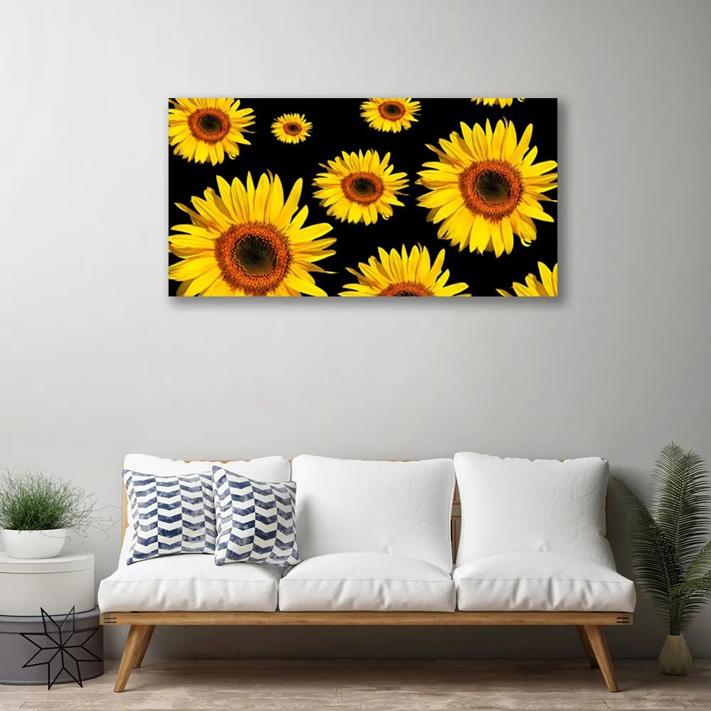 Obraz na plátně Slunečnice Rostlina Příroda 140x70 cm