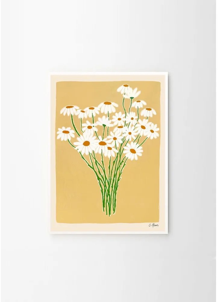 Plakát 30x40 cm Daisies – Carla Llanos – The Poster Club
