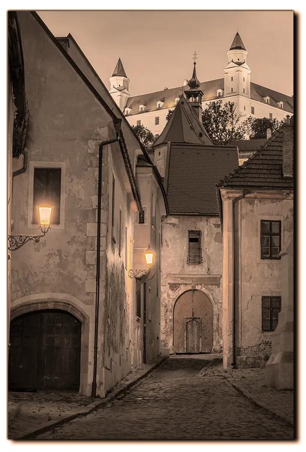Obraz na plátně - Bratislava staré město s hradem vzadu- obdélník 7265FA (100x70 cm)