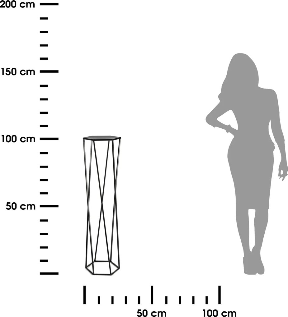 STOJAN NA KVĚTINÁČ HEXAGON 100X24X27 CM ČERNÁ