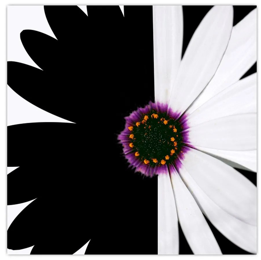 Obraz černobílého květu (30x30 cm)