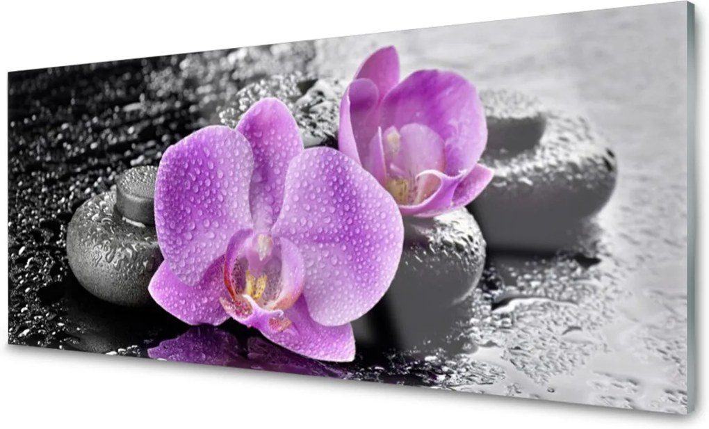 Plexisklo obraz Orchidej Květiny Kameny Zen