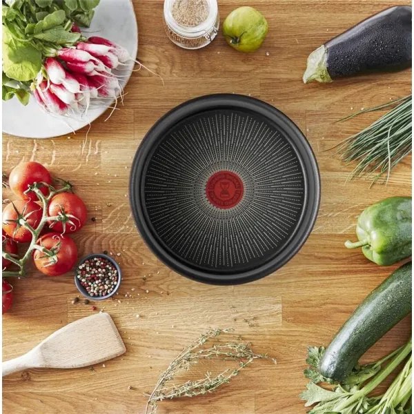 Tefal - Pánev INGENIO Unlimited 24 cm
