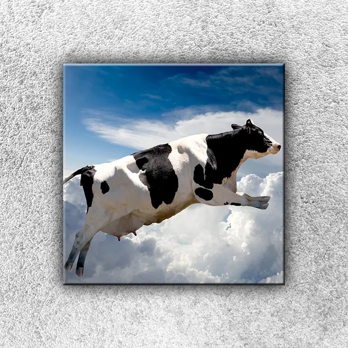 Xdecor Létající kráva (30 x 30 cm) - Jednodílný obraz