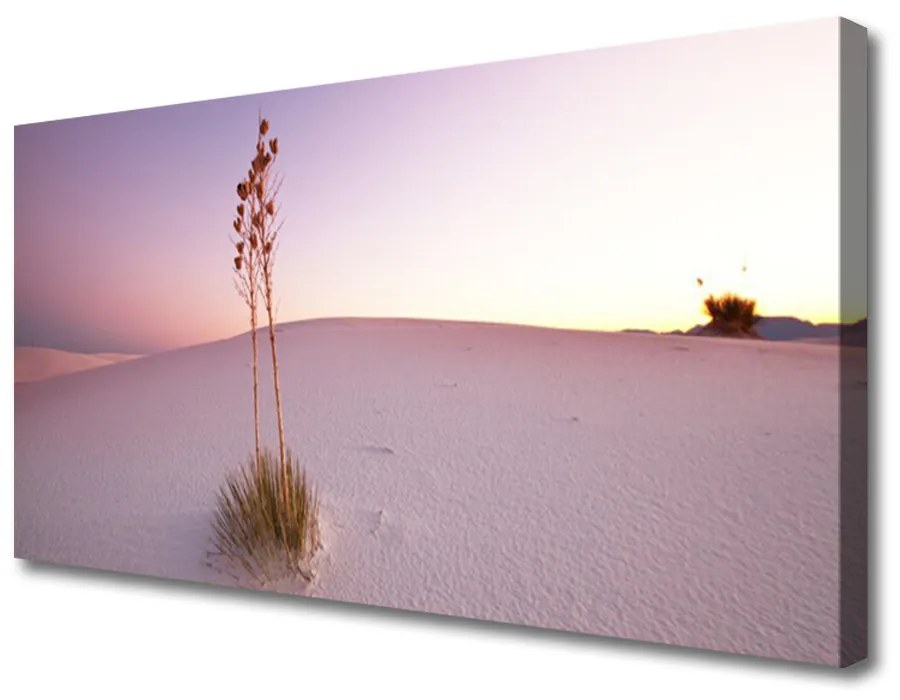 Obraz na plátně Poušť Písek Krajina 140x70 cm