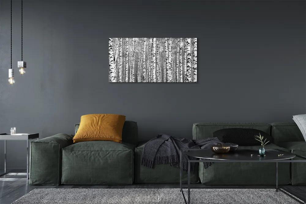 Obrazy na plátně Černá a bílá strom 125x50 cm