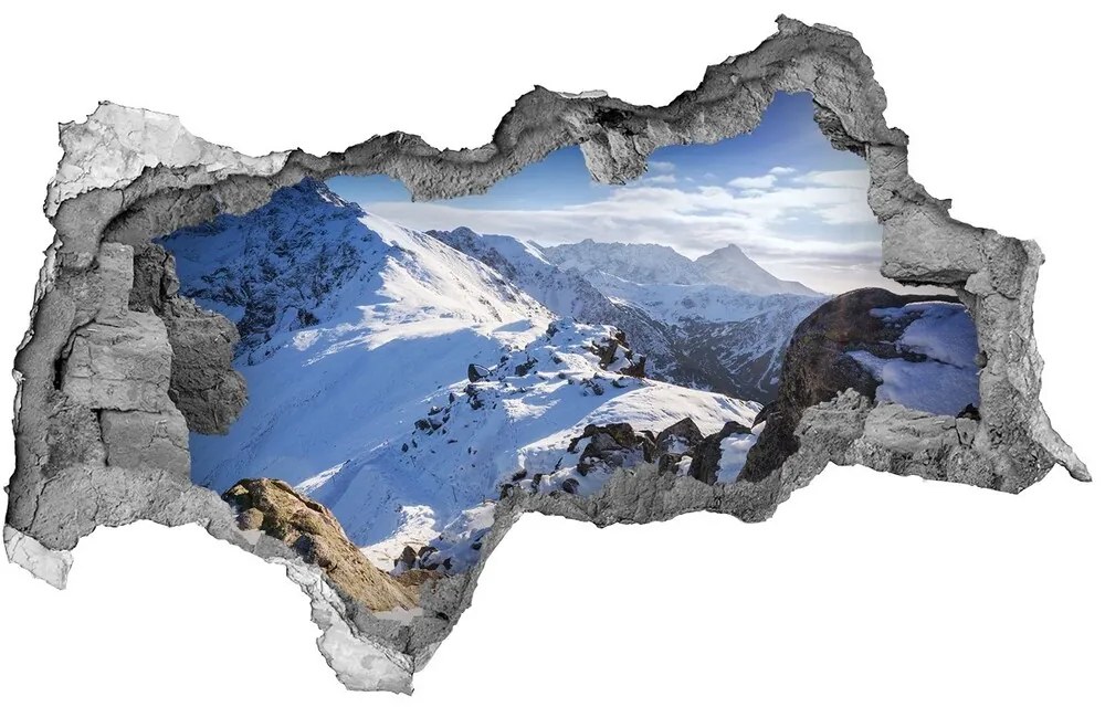 Wallmuralia Nálepka fototapeta 3D Tatry 95x73 cm