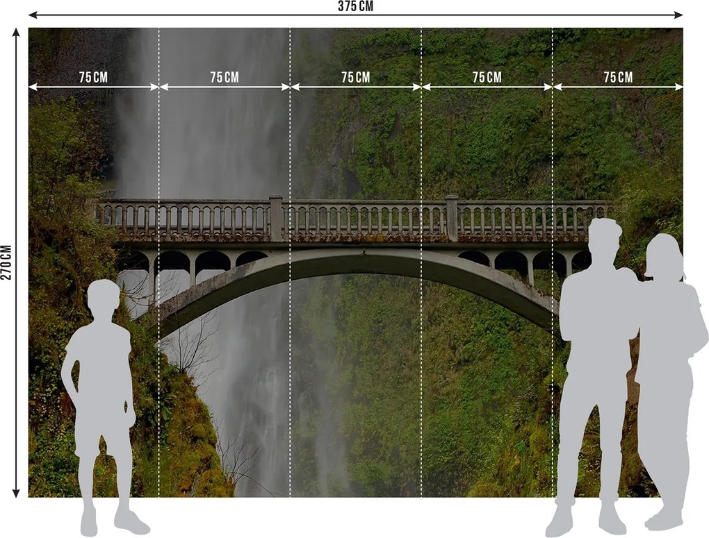 Fototapeta na míru Most Přes Multonomah Falls | Vliesová fototapeta na zed' | DFTNXXL0476