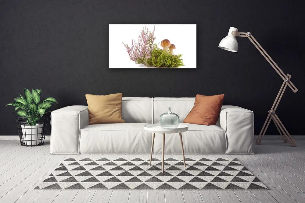 Obraz na plátně Houby Rostlina Příroda 120x60 cm