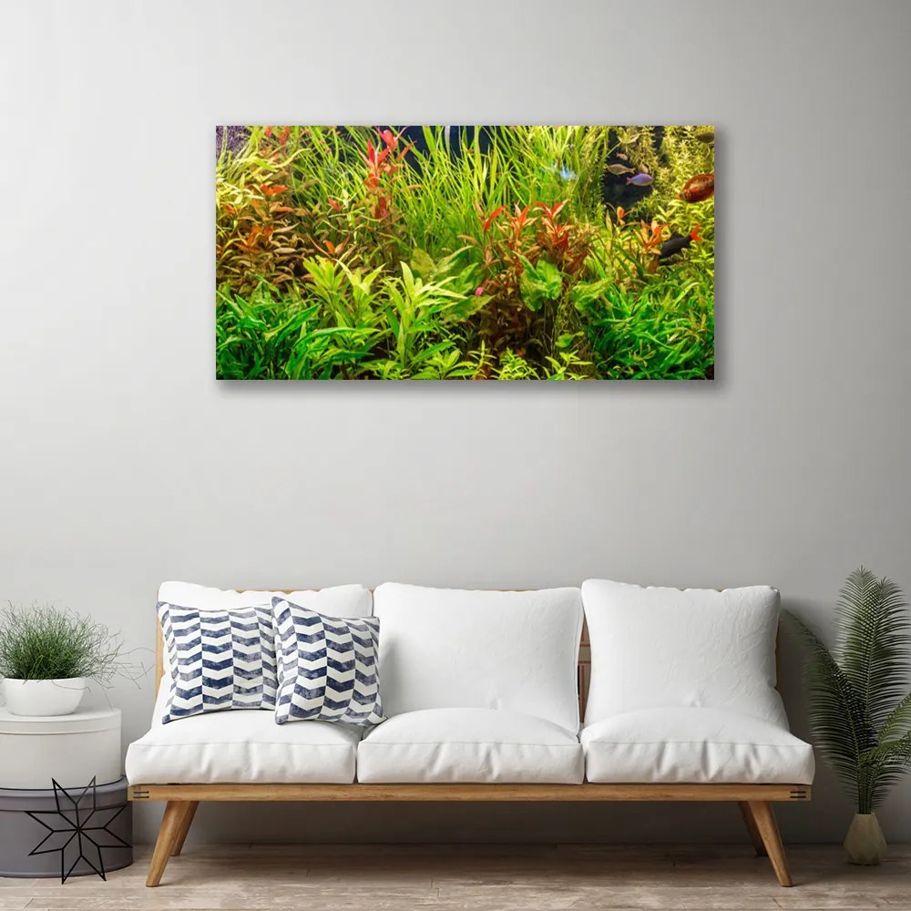 Obraz na plátně Akvárium Rybičky Rostliny 100x50 cm