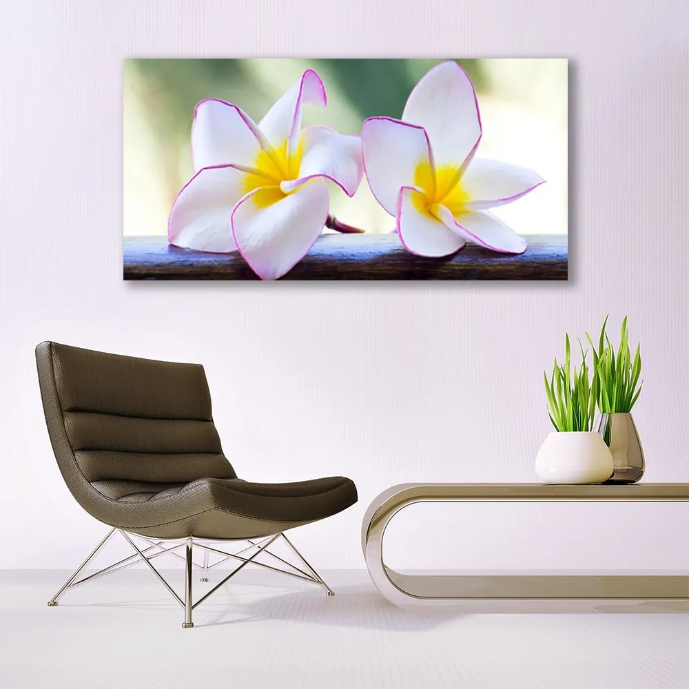 Plexisklo-obraz Květiny Plátky Plumérie 120x60 cm