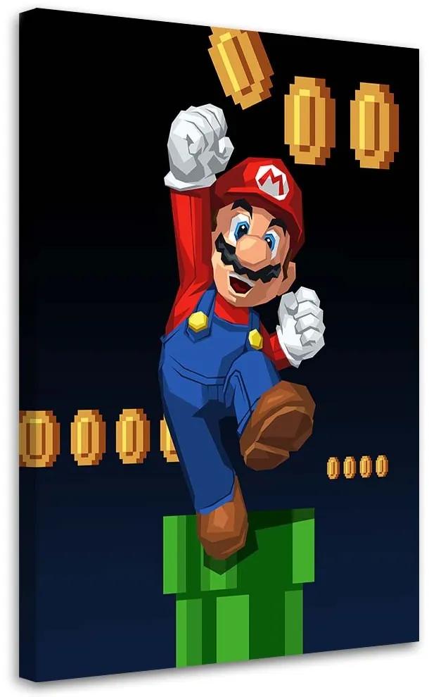 Gario Obraz na plátně Mario Bros hra - Nikita Abakumov Rozměry: 40 x 60 cm