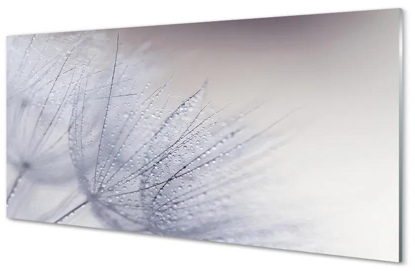 akrylový obraz Kapky rosy pampelišky 100x50 cm