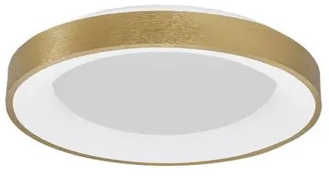 Stropní svítidlo LED se stmíváním Rando Thin 60 3000K zlaté