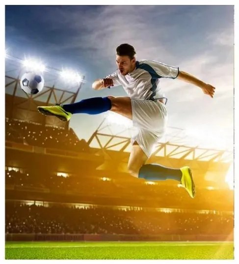 DIMEX | Vliesová fototapeta na zeď Fotbalový hráč MS-3-0306 | 225 x 250 cm | modrá, zelená, hnědá, žlutá