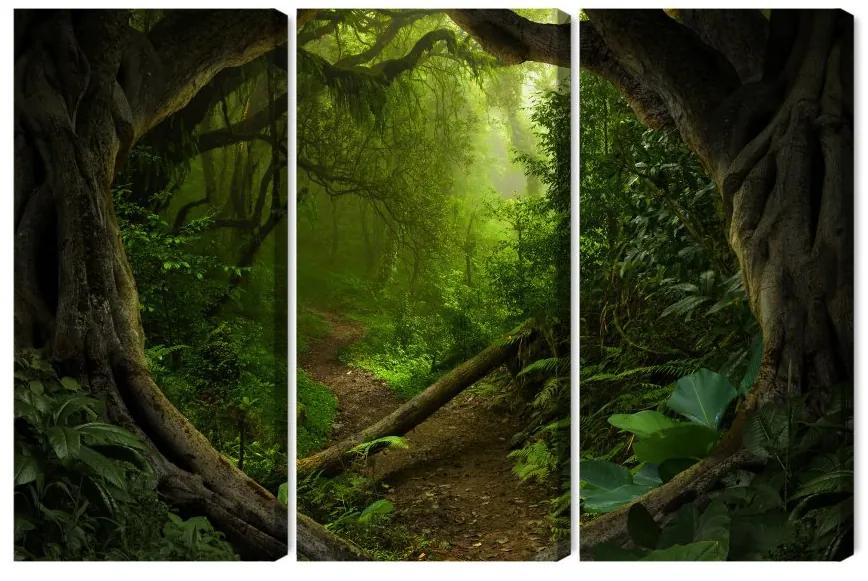 Vícedílný obraz Cesta V Tropickém Lese Nedostatek Nedostatek Plátno Canvas 120x80