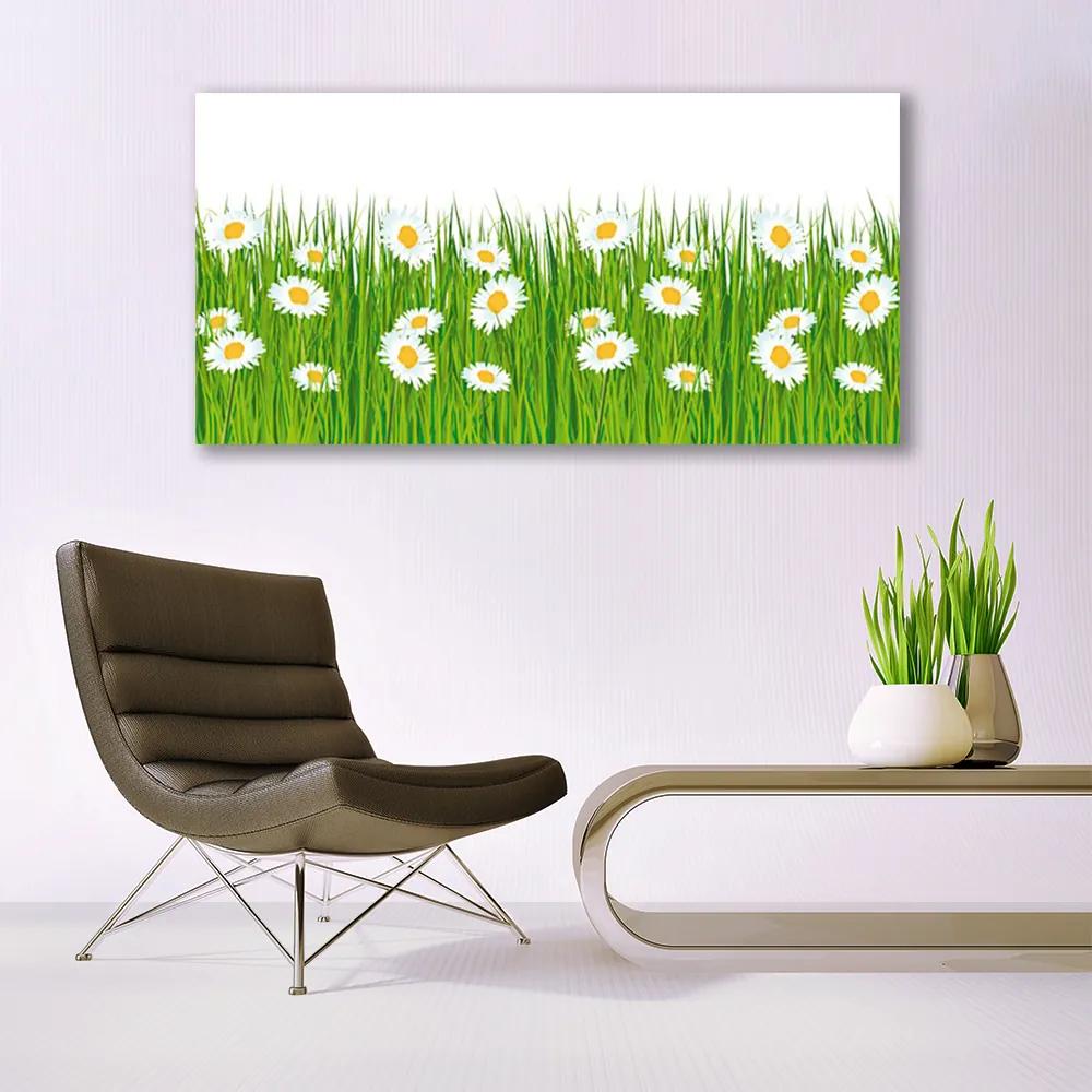 akrylový obraz Tráva Sedmikrásky Příroda 120x60 cm