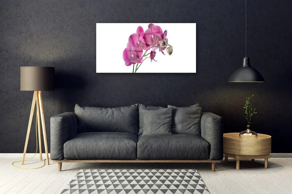 Obraz na skle Orchidej Květiny Příroda 100x50 cm