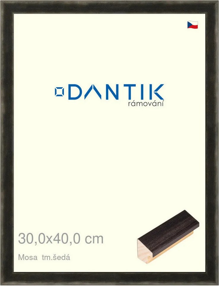 DANTIK rámeček 30x40 | Mosa tm.šedá (Plexi Čiré)