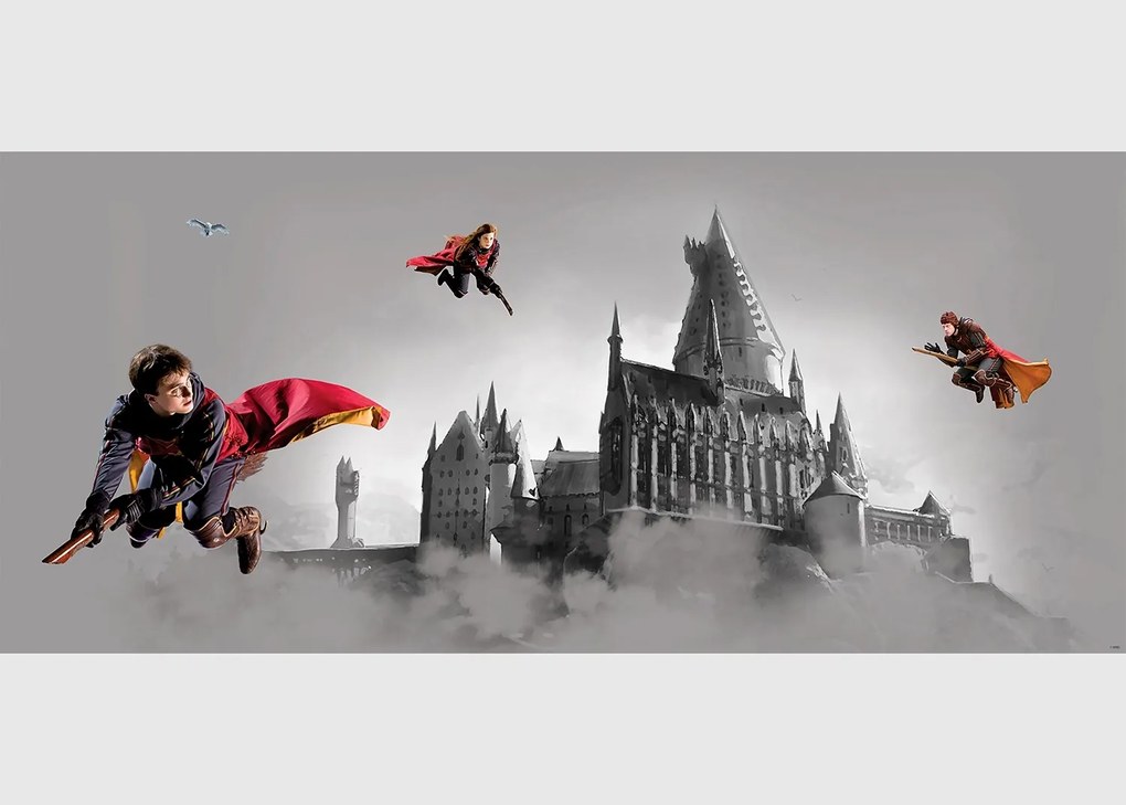 Dětská vliesová fototapeta na zed' Harry Potter Famfrpálové Trio | 170 x 75 cm | DFTDNH5517