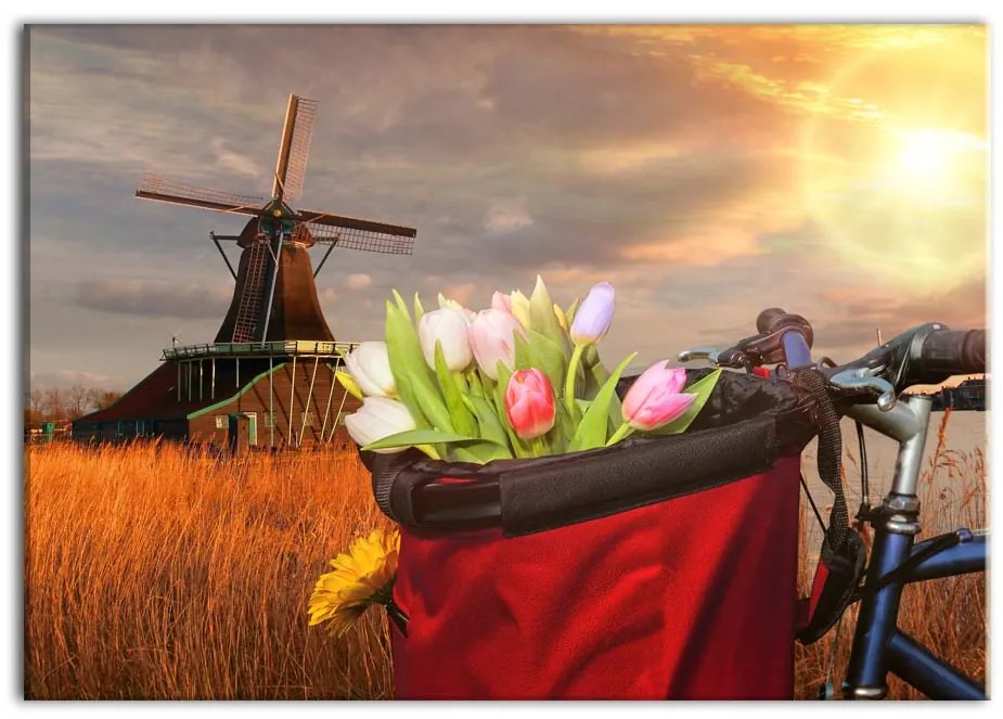 Obraz tulipány a větrný mlýn Velikost (šířka x výška): 35x25 cm