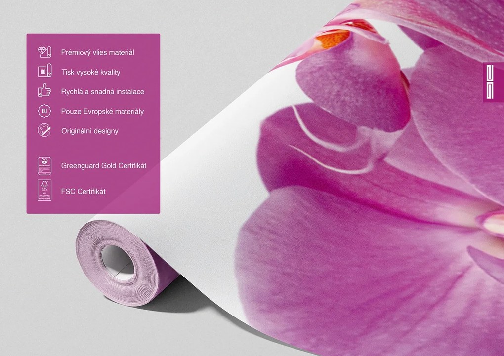 Fototapeta na míru Fialová Orchidej | Vliesová fototapeta na zed' | DFTNS2459