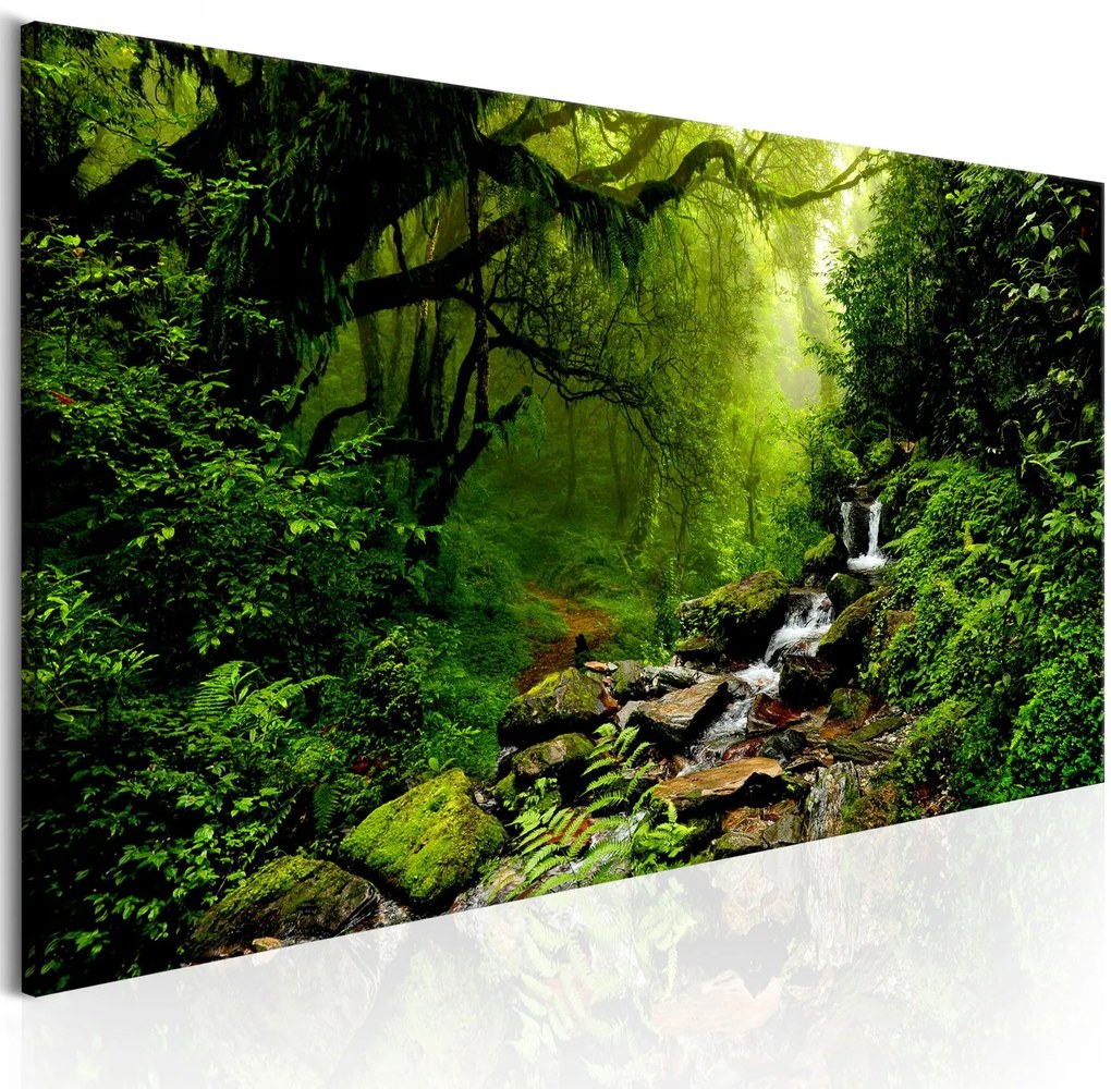 Obraz - The Fairytale Forest 150x50