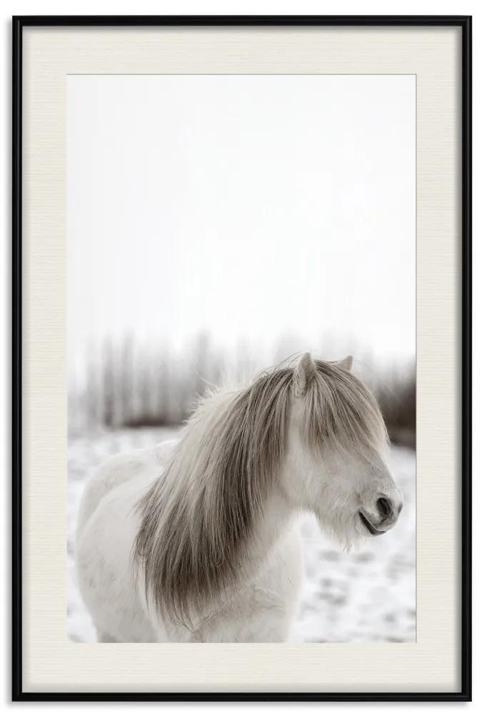 Plakát Koňská hříva - bílý kůň s velkým množstvím vlasů na pozadí zimního lesa