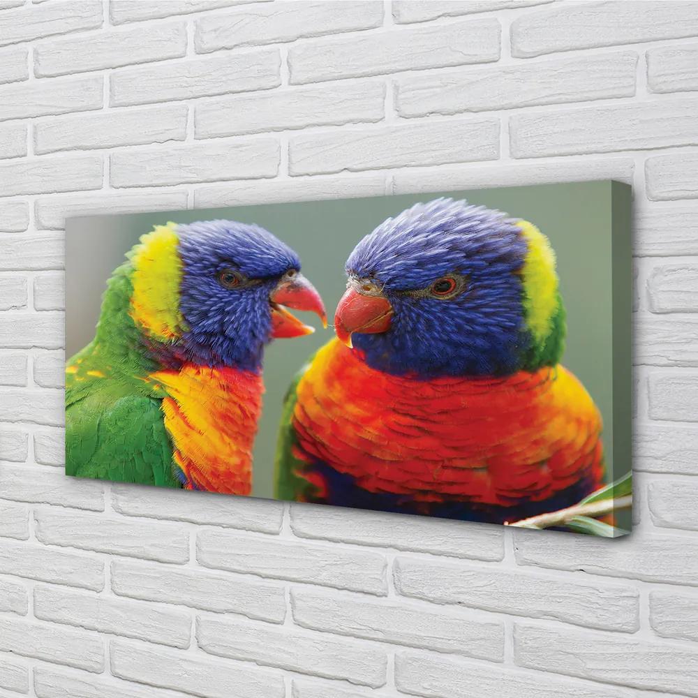 Obrazy na plátně barevný papoušek 140x70 cm