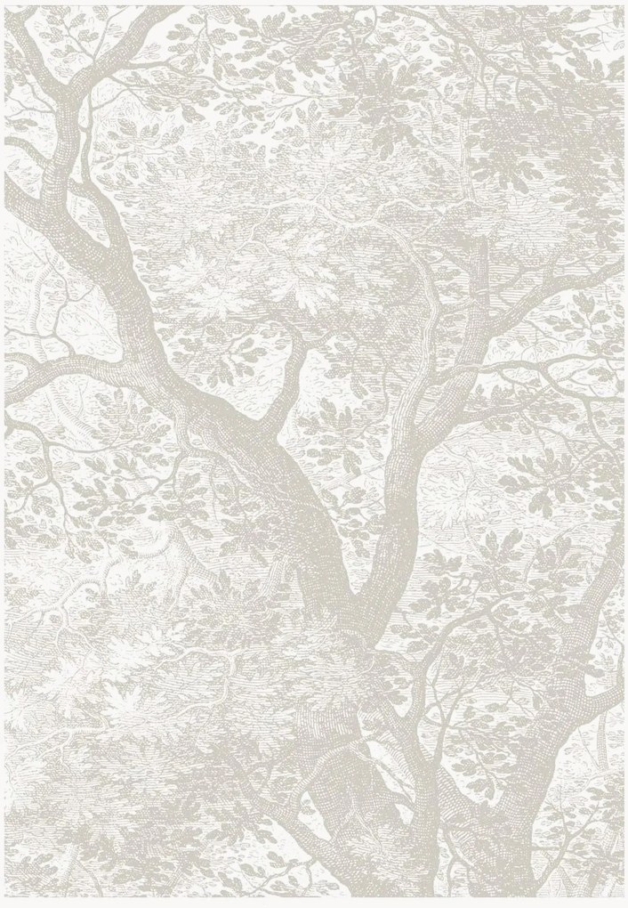 Vliesová tapeta Engraved Landscapes