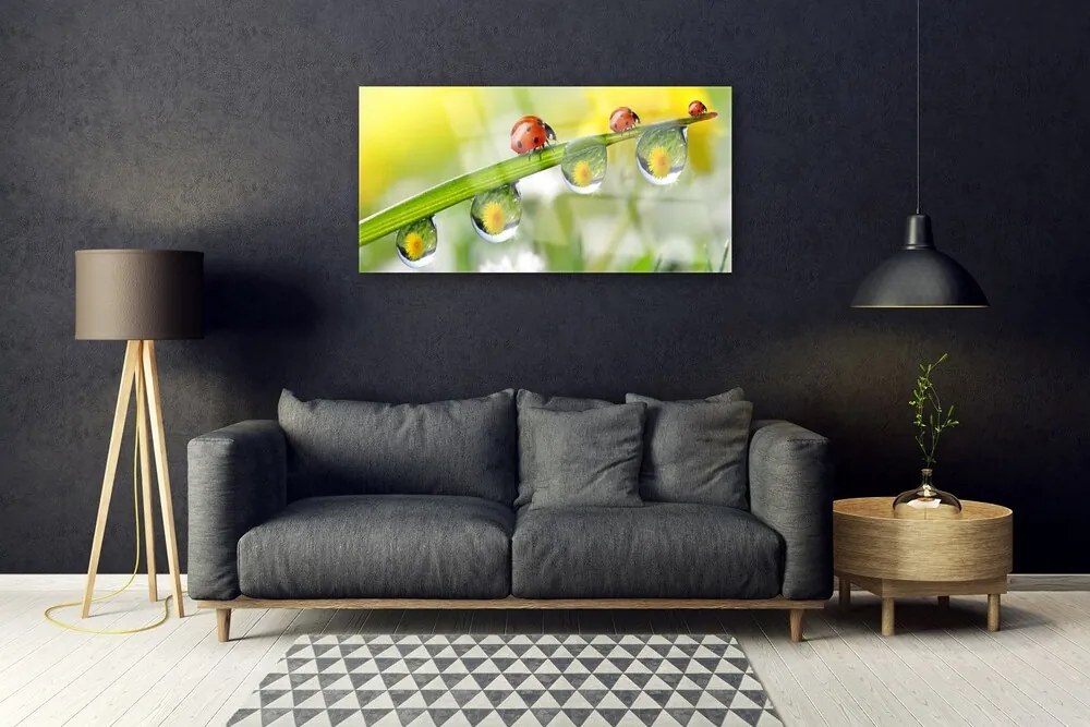 Obraz na skle List Berušky Příroda 125x50 cm