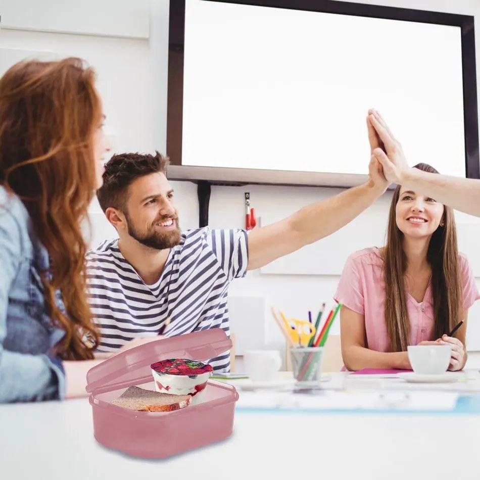Westmark Box na svačinu MAXI, 935 ml, růžová, L