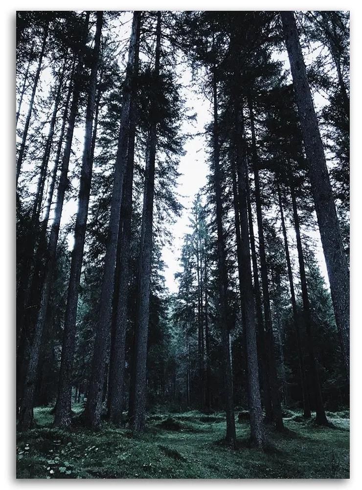 Gario Obraz na plátně Les v zamračeném dni - Dmitry Belov Rozměry: 40 x 60 cm