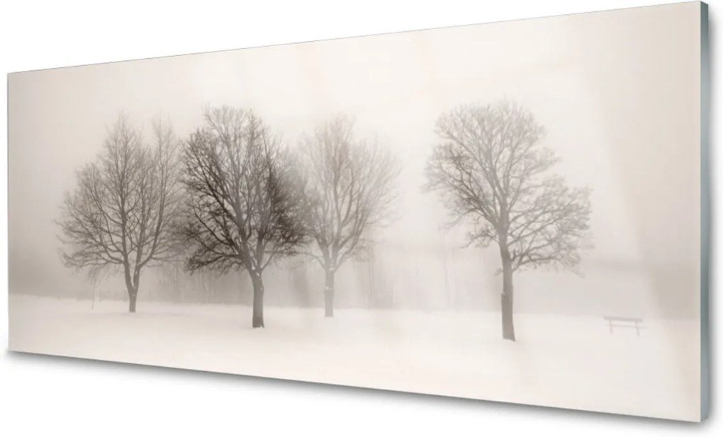 Plexisklo obraz Sníh Stromy Krajina