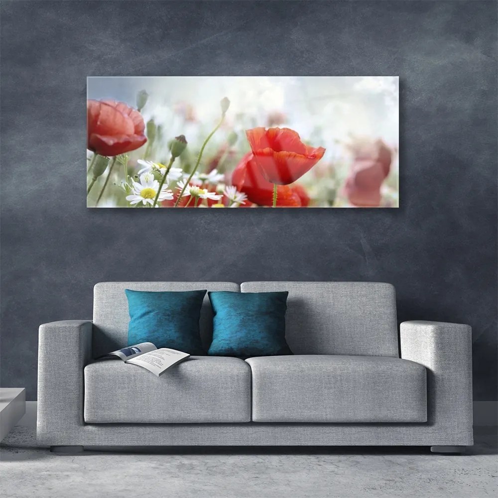 Plexisklo-obraz Květiny Plátky Rostlina 125x50 cm
