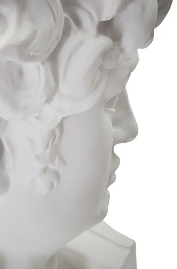 Mauro Ferretti Socha hlavy 44X35,5X60 cm
