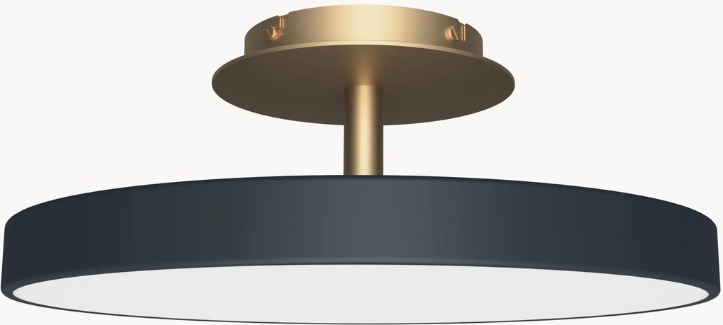 Stmívatelné stropní LED svítidlo Asteria, v různých velikostech