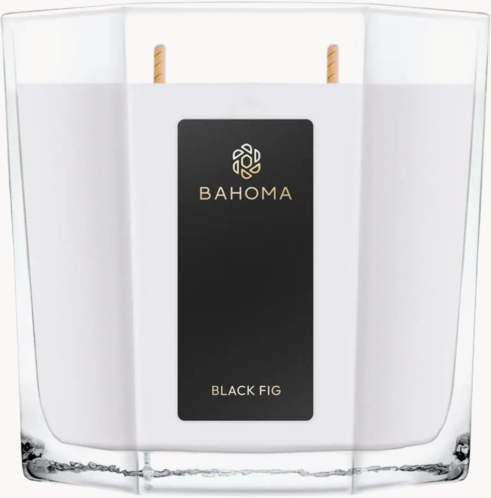 Ručně litá vonná XL svíčka Black Fig (jasmín, fík, santalové dřevo)