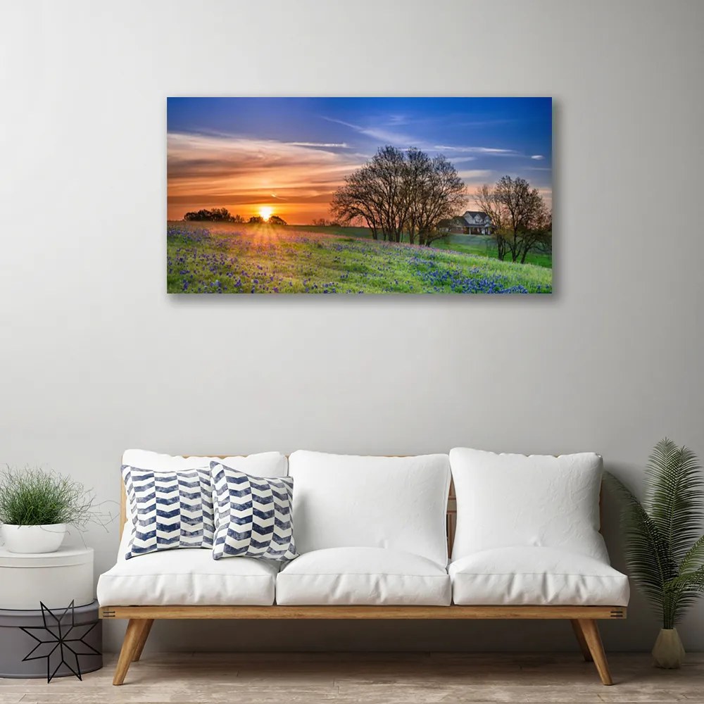 Obraz na plátně Louka Slunce Krajina 125x50 cm