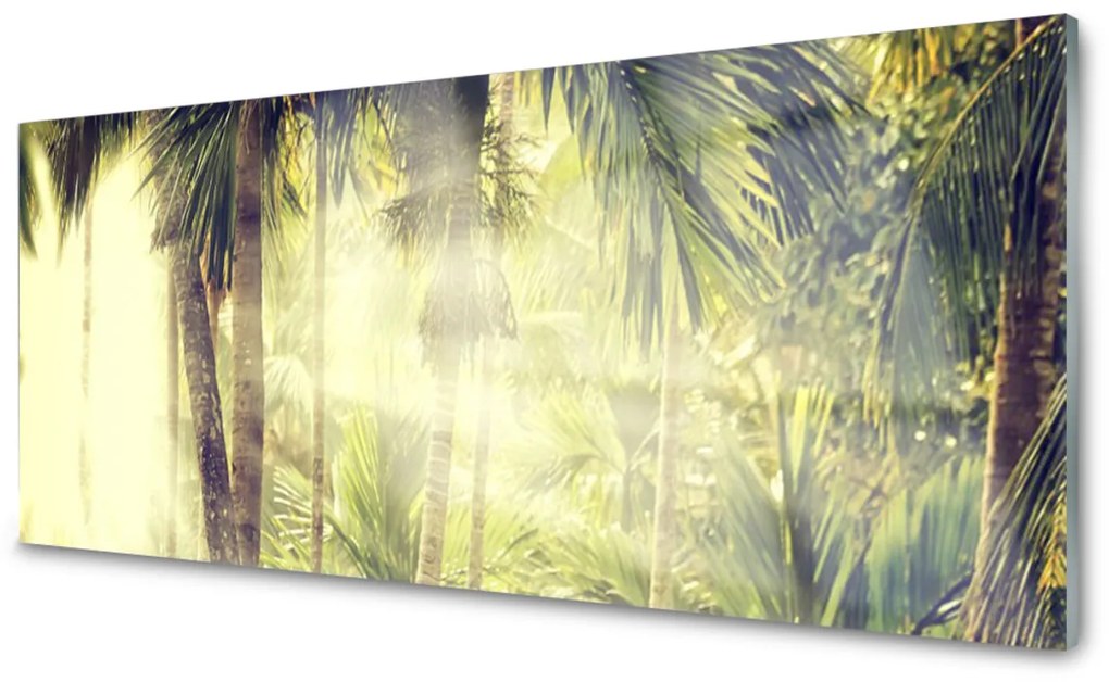 Skleněný obraz Les Palmy Stromy Příroda