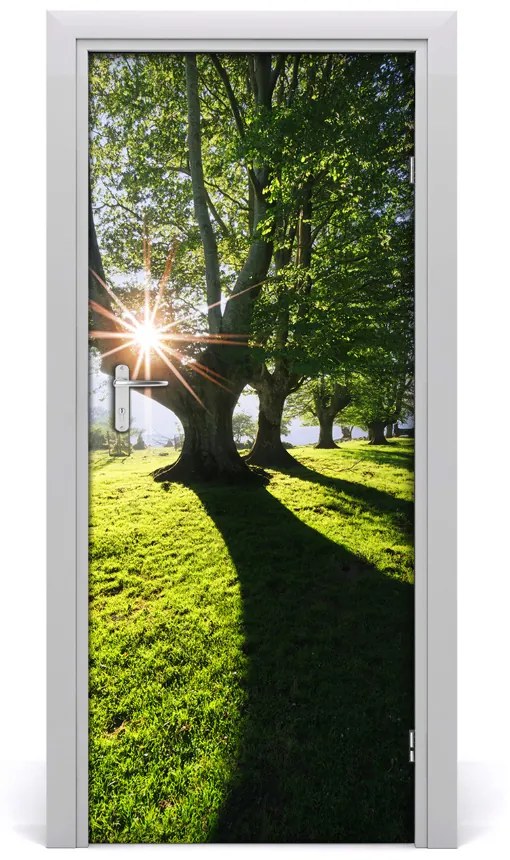 Fototapeta na dveře park 75x205 cm