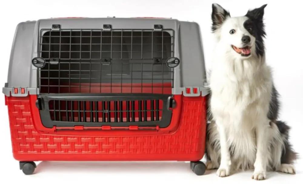 BAMA Cestovní přepravka na kolečkách pro psy a kočky, červená