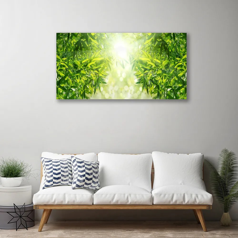 Obraz na plátně Listy Příroda Rostlina 100x50 cm