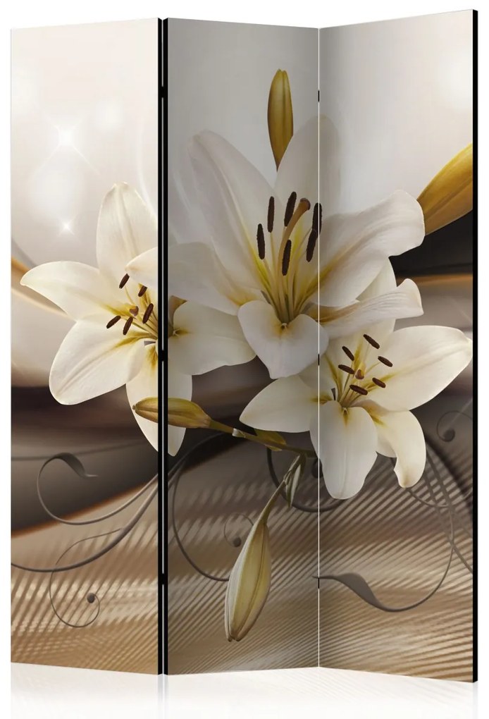 Paraván lilie v poušti Velikost (šířka x výška): 135x172 cm