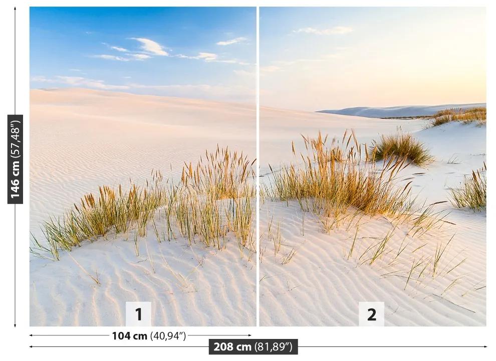 Fototapeta Duny moře 104x70