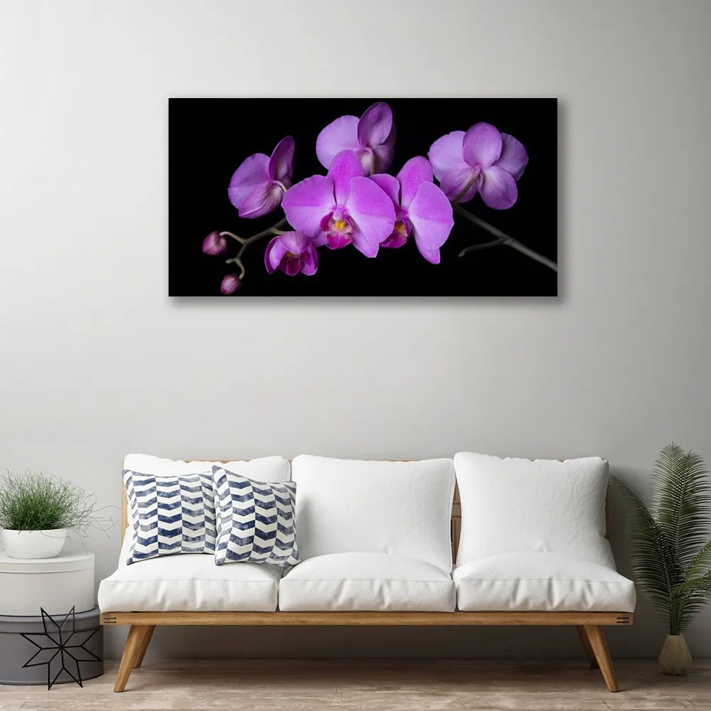 Obraz na plátně Vstavač Orchidej Květiny 100x50 cm