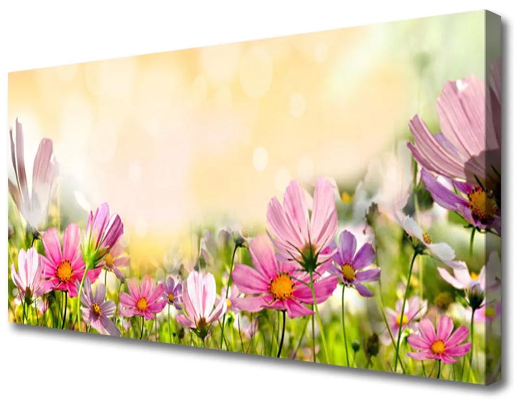 Obraz Canvas Květiny Rostlina Příroda