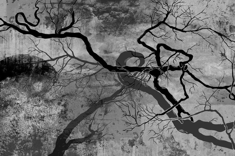 Obraz surrealistické stromy v černobílém provedení Varianta: 120x80
